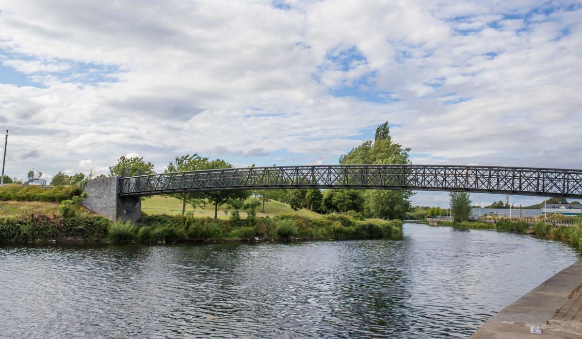 River Barrow in Carlow Town is 'littered', according to new survey ...