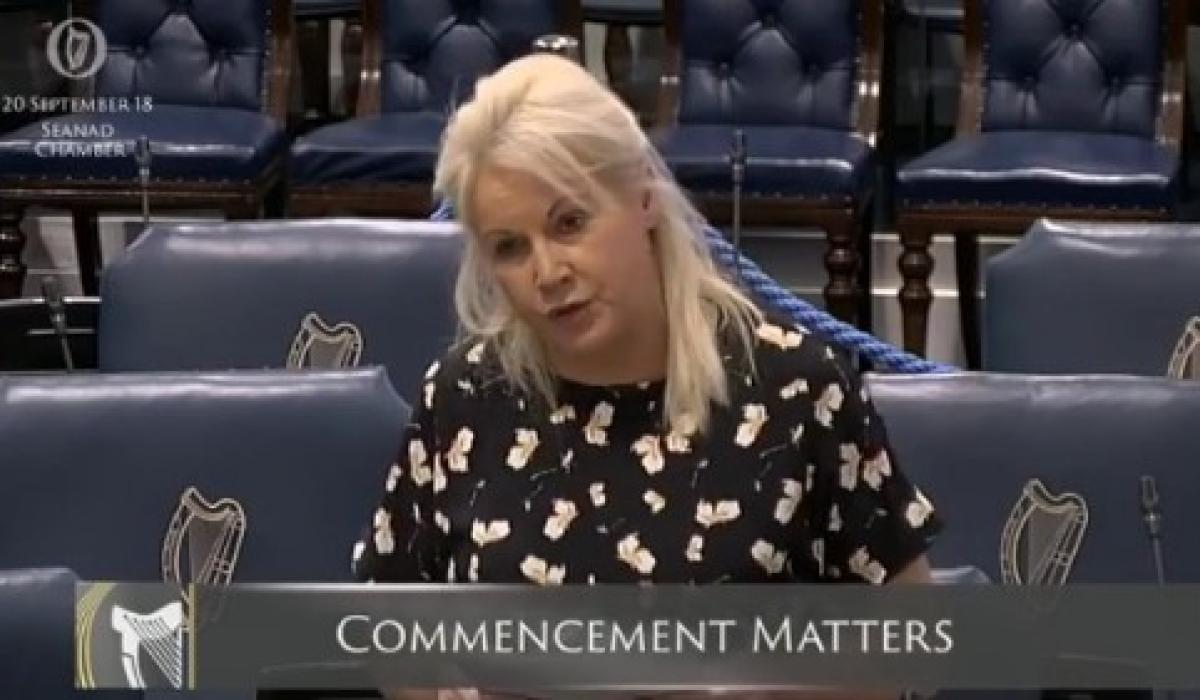 Revealed: Only seven IDA site visits for 2018 were in Carlow, says ...