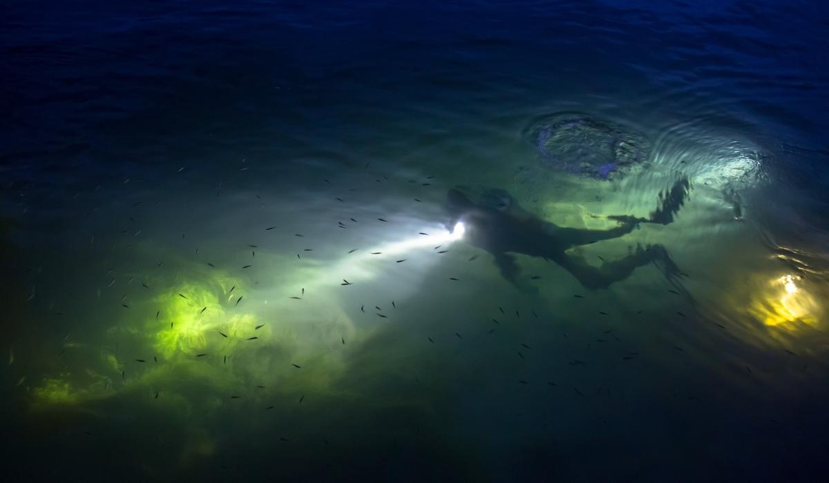 BIG READ: 'Not a drop of water' in the Carlow/Graiguecullen Sub Aqua ...