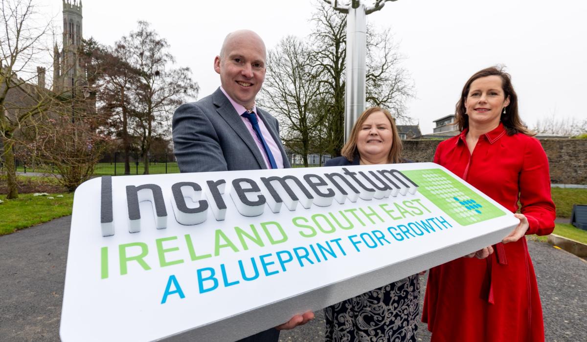 Carlow companies urged to avail of support and mentoring to the value ...