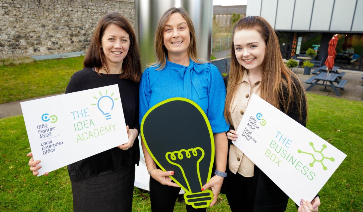 New approach to making it happen for Carlow people with self employment ...