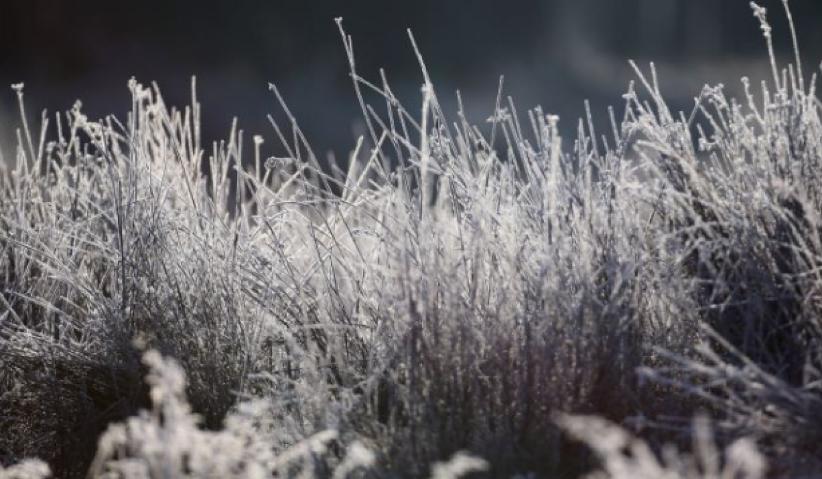 Scattered showers expected in Carlow today (Dec 5) with widespread ...