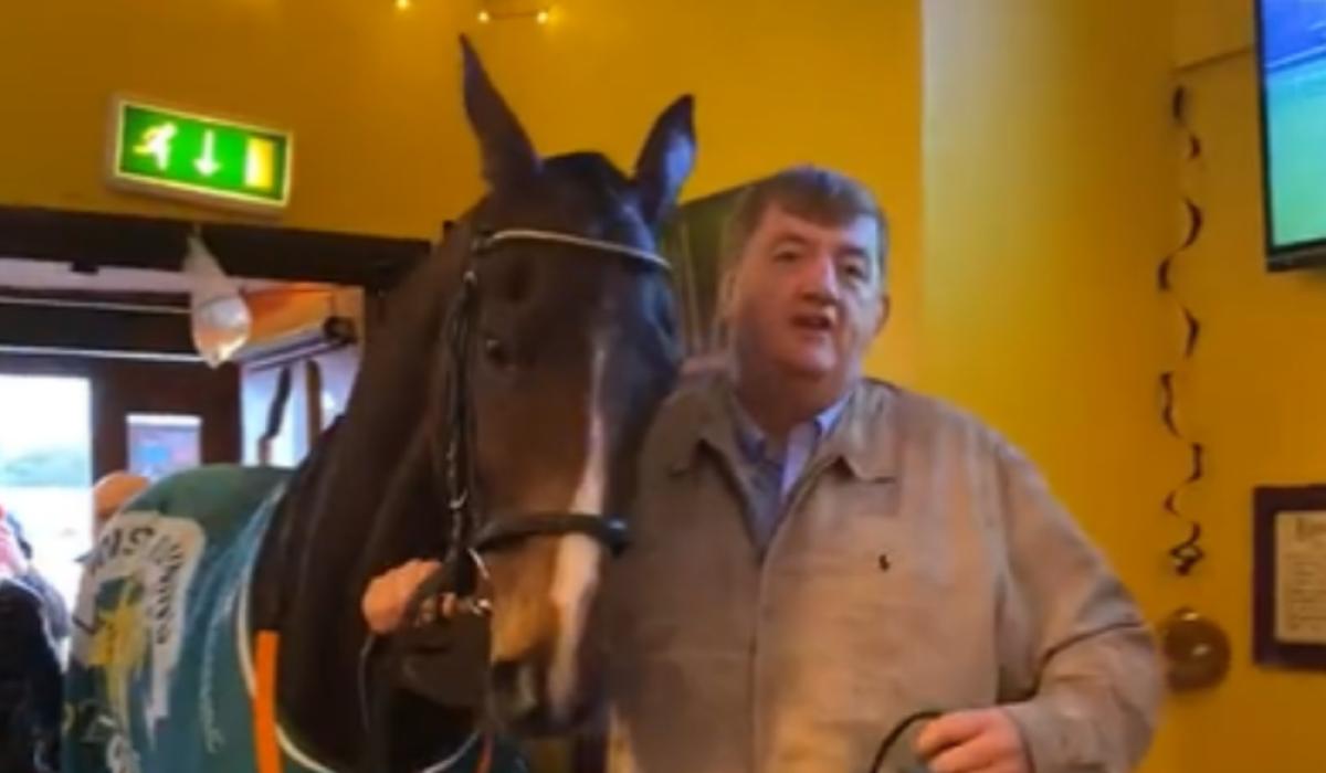 WATCH: Carlow trainer Shark Hanlon brings Hewick for a pint to ...