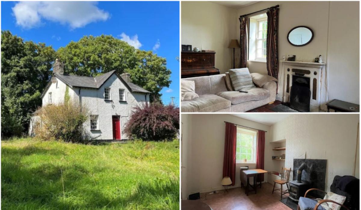 Charming Carlow countryside home with beautiful gardens for less than € ...