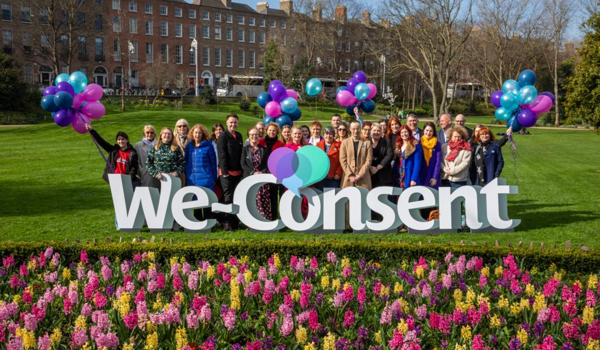 'We all have a role to play' - Harris launches new campaign on consent in Irish society - Carlow ...