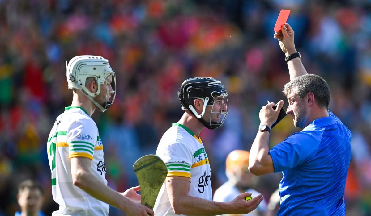 Offaly hurler loses red card appeal from Joe McDonagh Cup final against ...