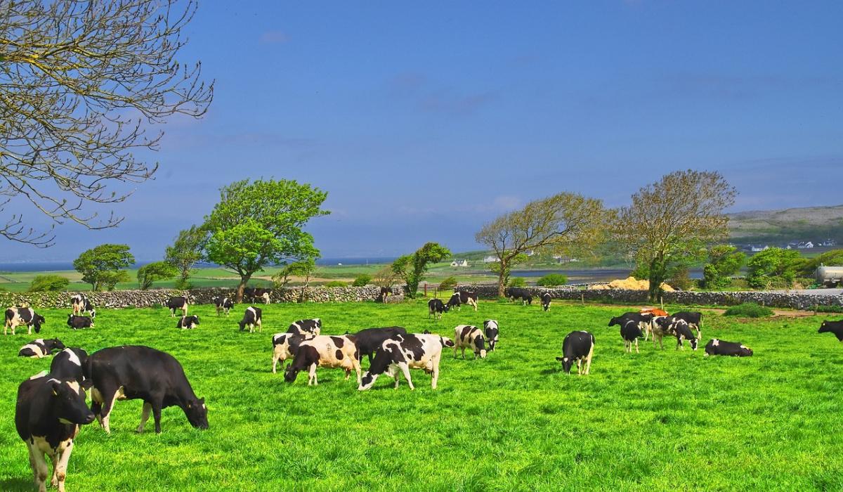 'Future of Farming' conference to take place in Carlow - Carlow Live