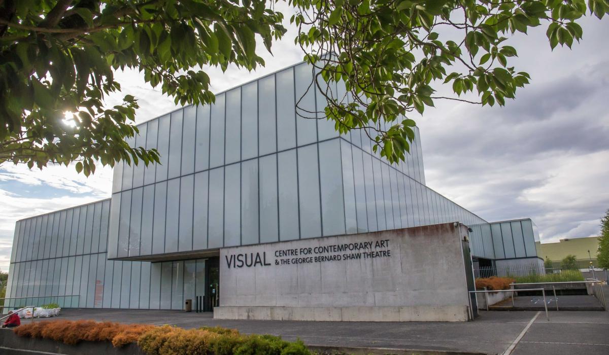 WHAT'S ON: Events for all at Visual Carlow that will fill up your ...