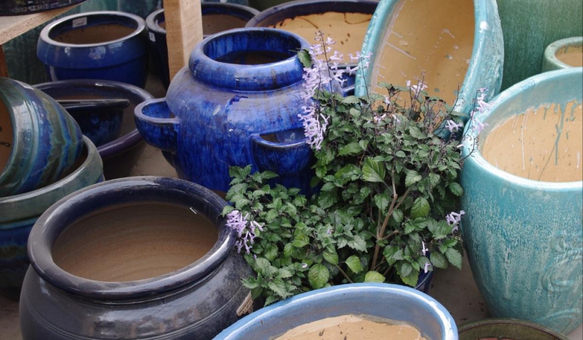 Rathvilly Garden Centre given green light by planning authorities to ...