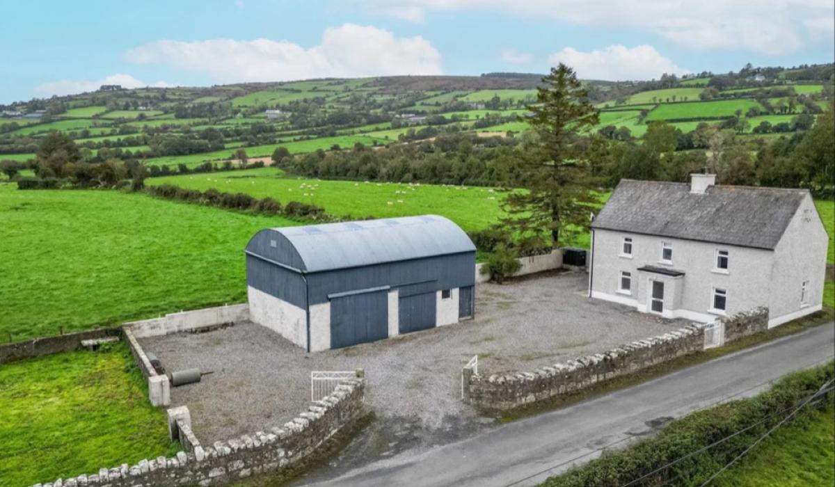 This charming farmhouse with stunning views of County Carlow has ...