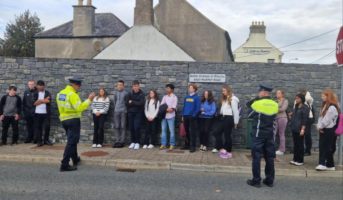 In Pictures: Students from Carlow complete TY work experience with ...