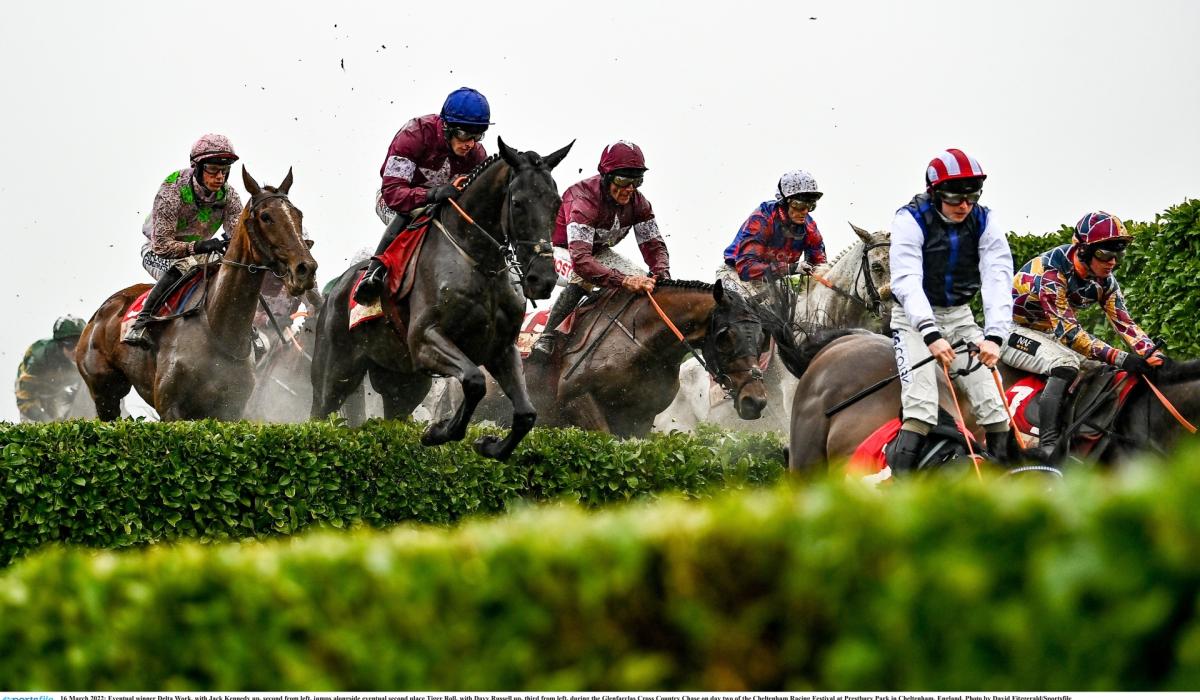 Cross-Country chase abandoned at Cheltenham after deluge of rain on ...