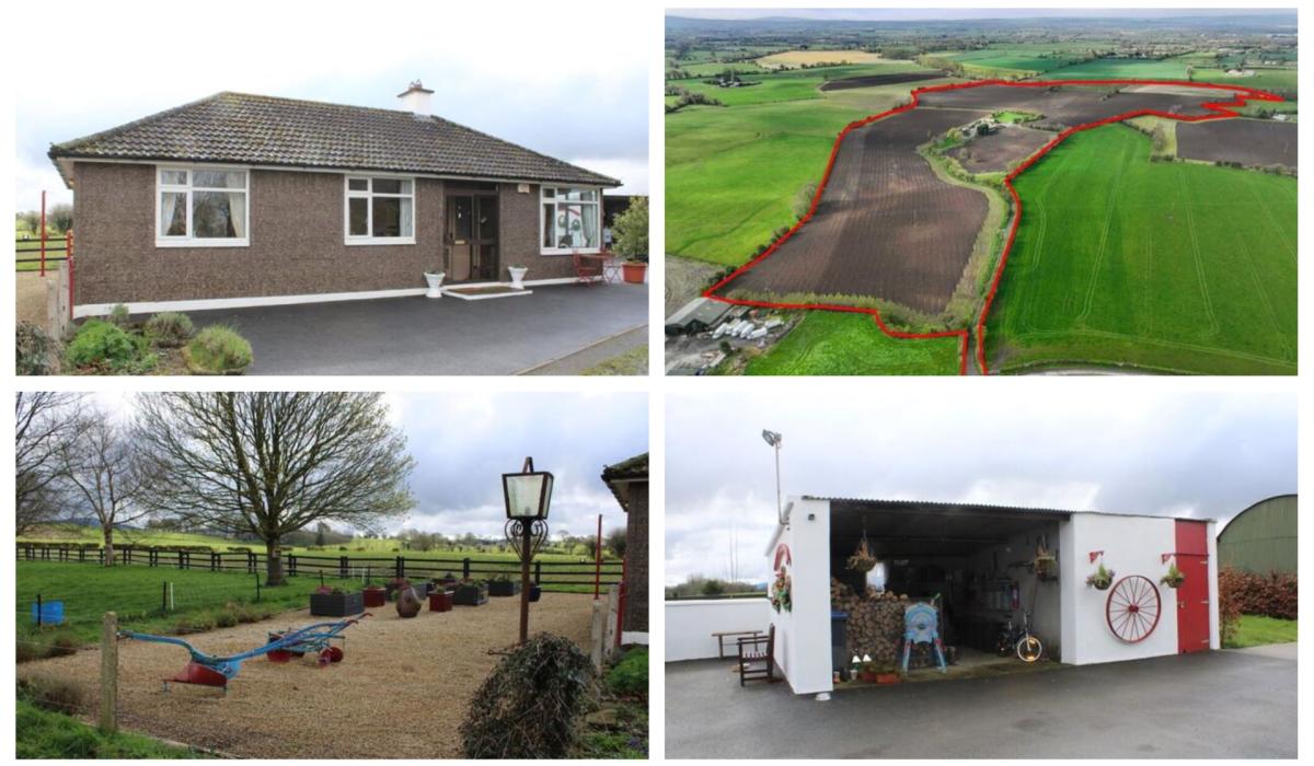 PICTURES: Carlow farm and farmhouse with old world charm on the market ...