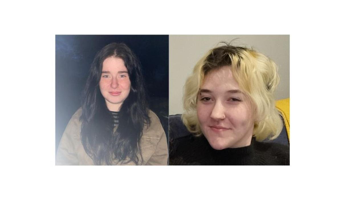 Have you seen Emma and Sophie? Two missing teen girls spark concern ...