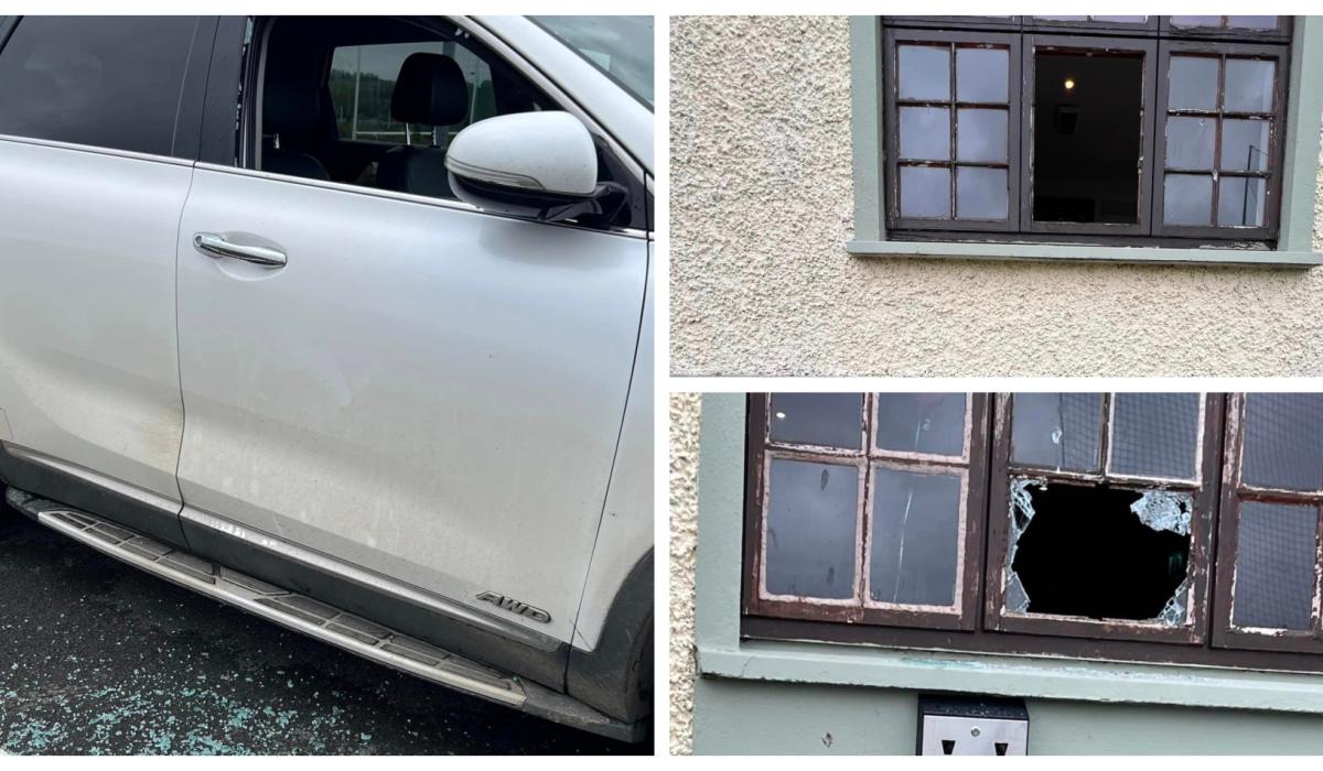 Gardaí investigating vandalism and damages to Graiguecullen GAA ...