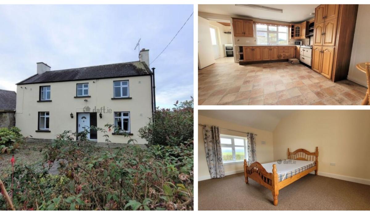PICTURES: Farm home for rent in County Carlow for €1,400 per month ...