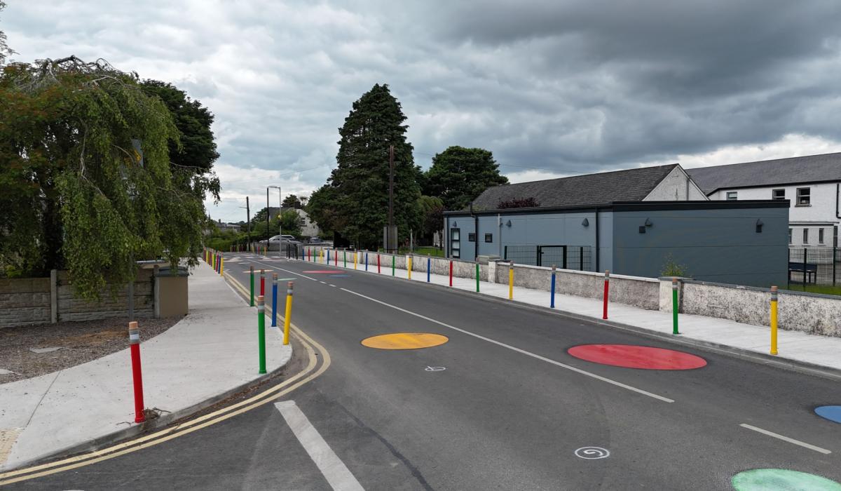Local Carlow school installs new eye-catching infrastructure - Carlow Live