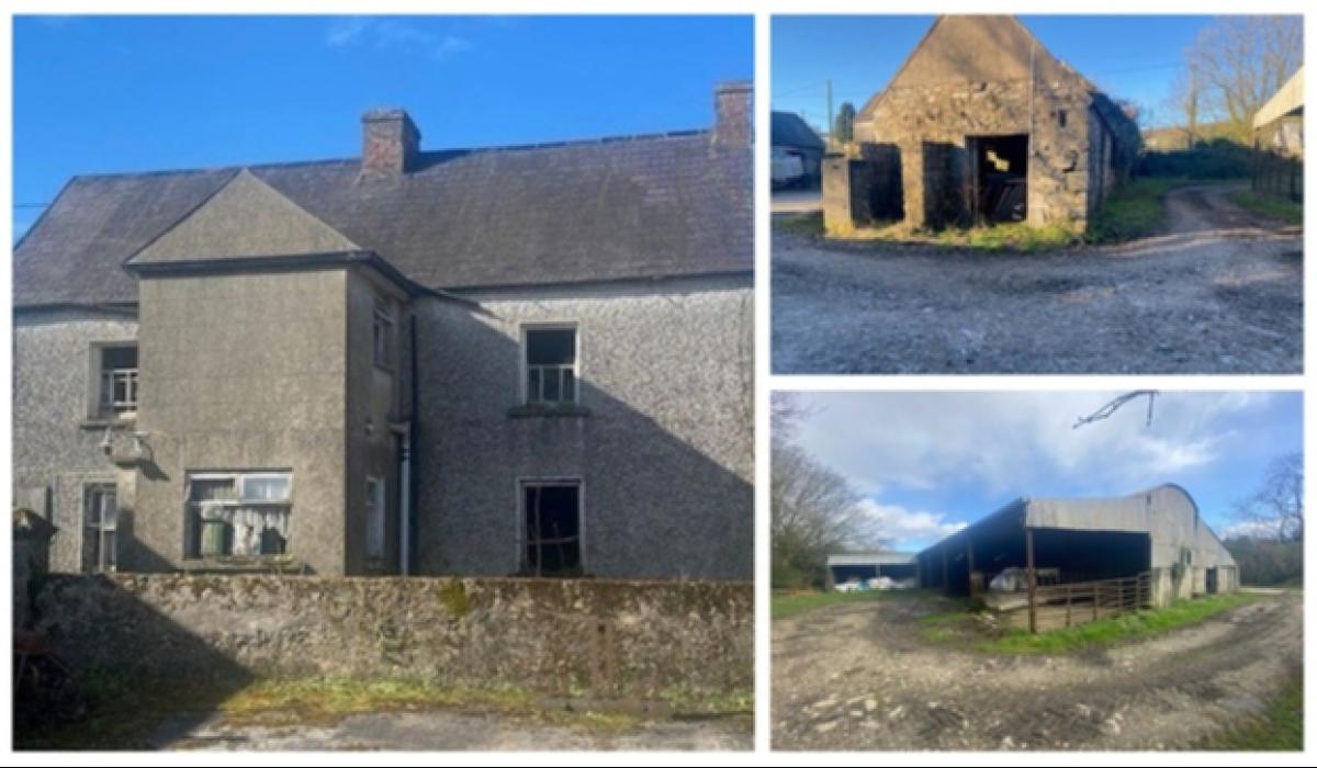 PICTURES: Derelict Farmhouse with number of outbuildings outside Carlow ...