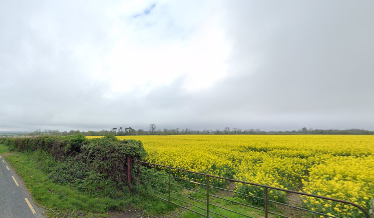 Decision on the horizon for 10 new homes to be built in County Carlow ...