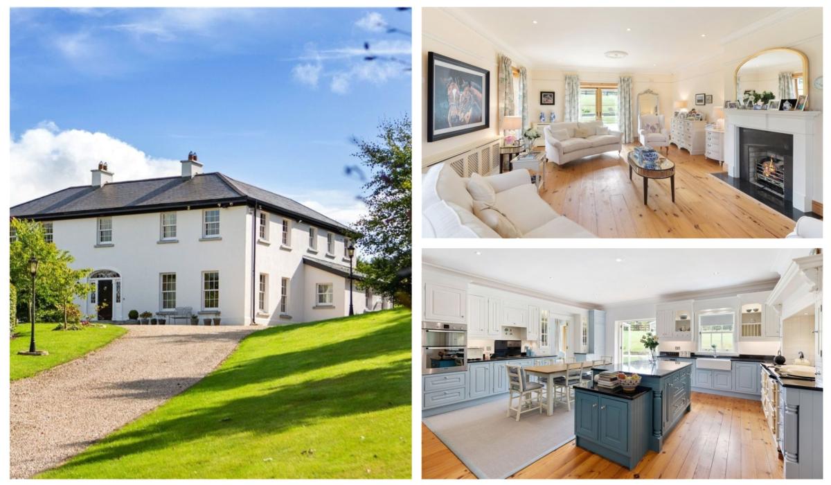 PICTURES: Glorious Georgian home with 40 acres of land available for €1 ...