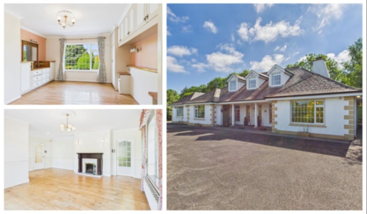 PICTURES: Grand open dormer bungalow hits the market in County Carlow ...