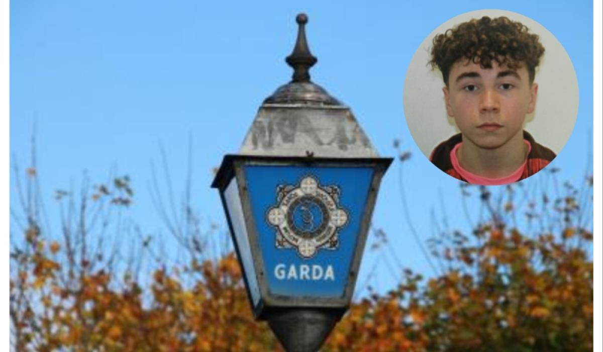 ALERT: Gardaí issue urgent appeal for missing 16-year-old who may have travelled to Carlow ...