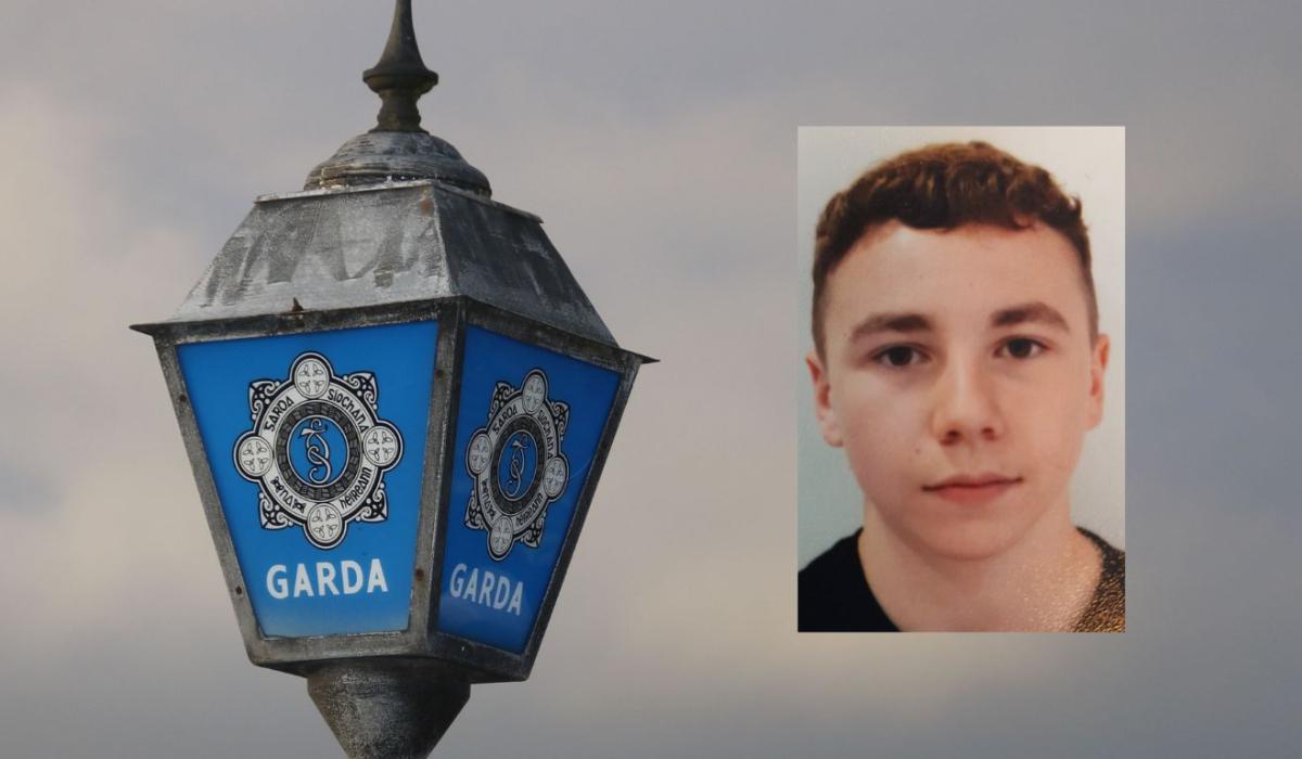 ALERT: Gardai appeal for help in locating missing boy, who may have travelled to Carlow - Carlow ...