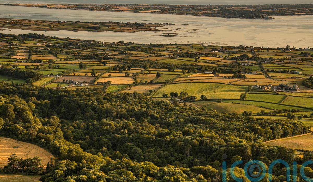 Ancient woodland in Northern Ireland to open to visitors for first time ...