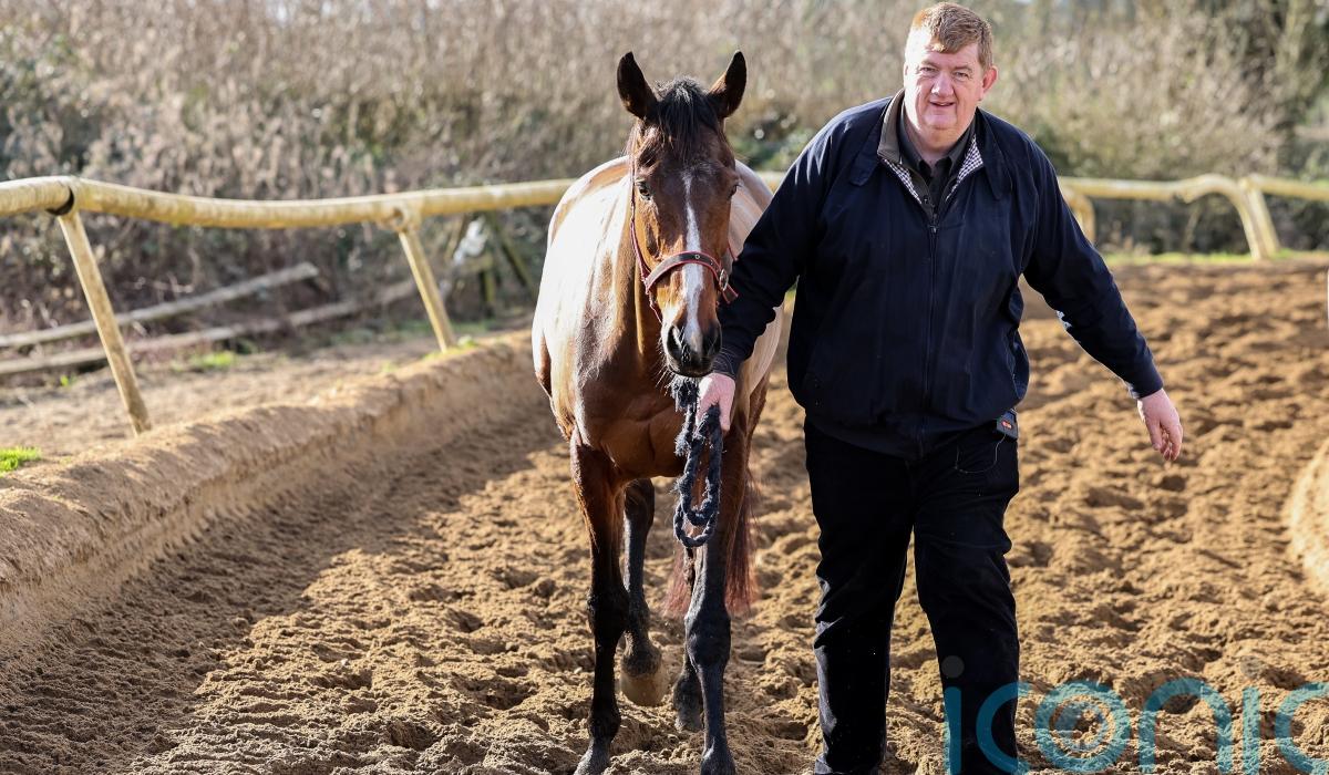 Carlow trainer Shark Hanlon set for late call on ground for Hewick at ...