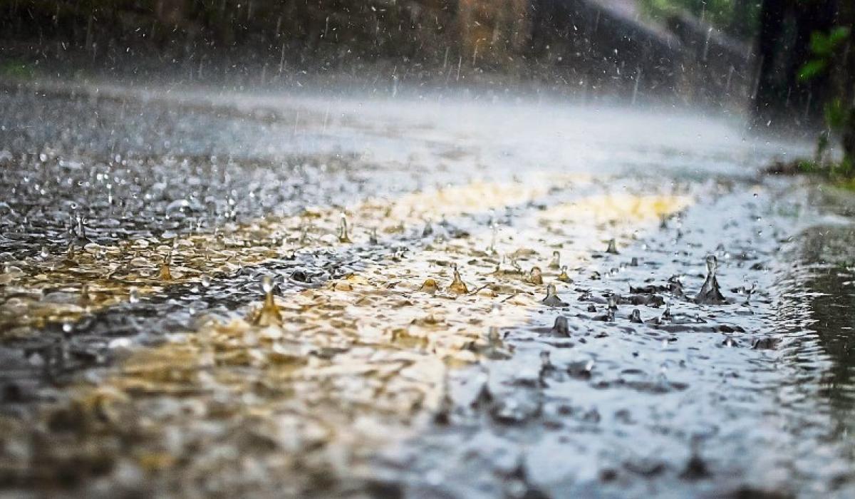 'Dull damp day ahead' Carlow Weatherman provides update on Carlow ...