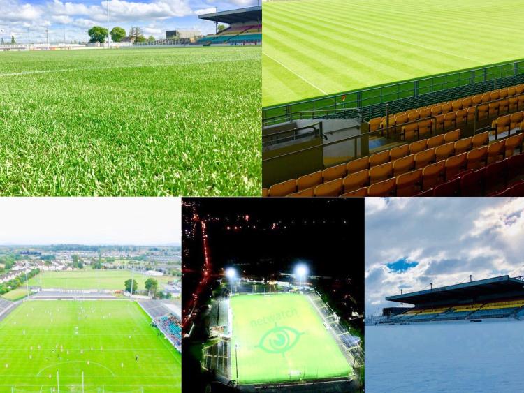 PICTURES: Netwatch Cullen Park in Carlow Town nominated for 'County ...