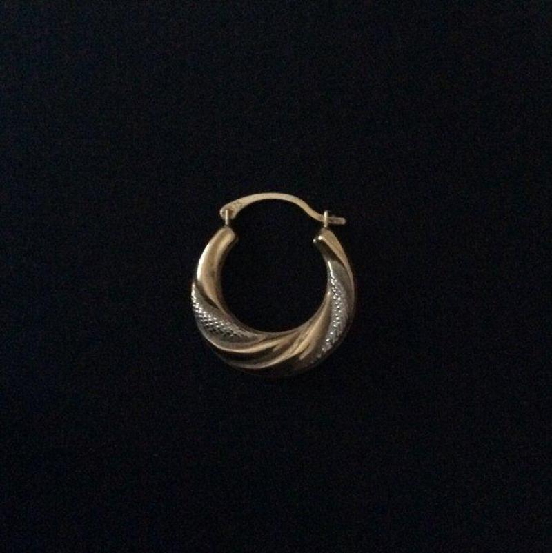 Woman issues appeal after losing earring while shopping in Aldi and ...