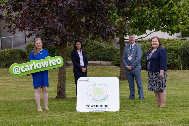 Christmas Networking Event announced for Carlow Women in Business ...