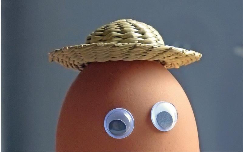 What's On: Éist Cancer Support Carlow seek volunteers for egg-cellent ...