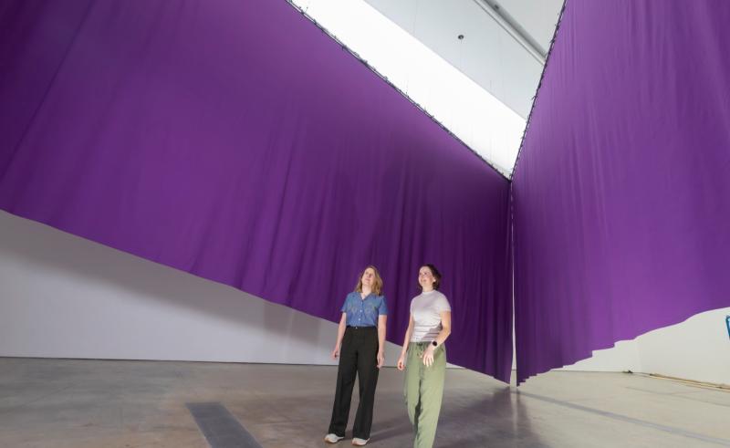 World renowned artist to launch art exhibition in Carlow's Visual ...