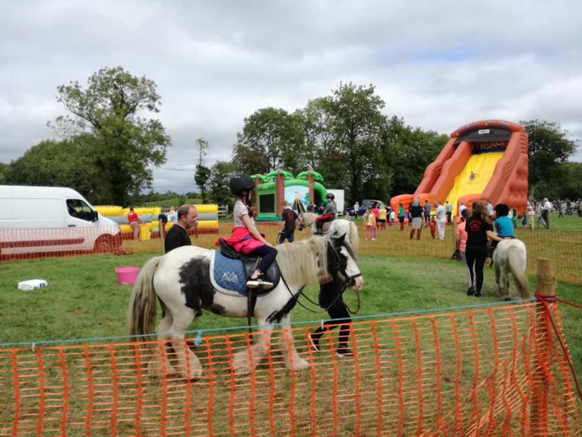 GALLERY: Tullow Show the 'best ever' as rain holds off for agricultural ...