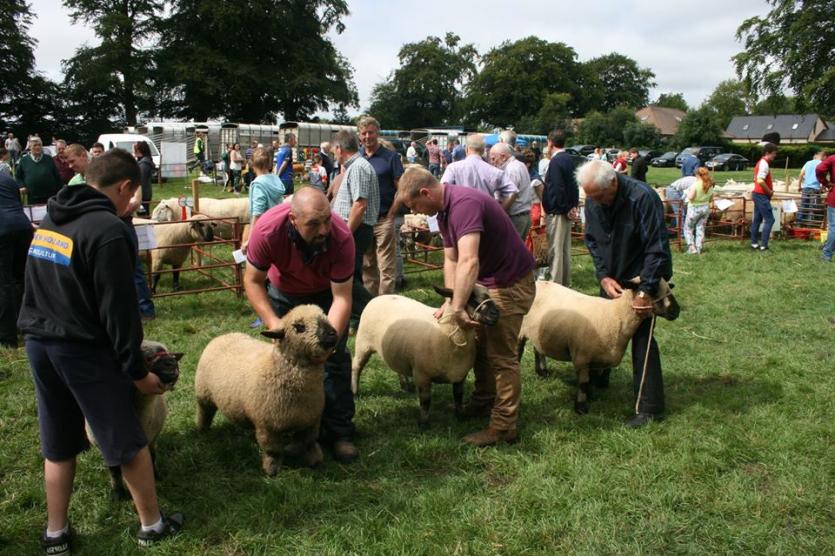 GALLERY: Tullow Show the 'best ever' as rain holds off for agricultural ...