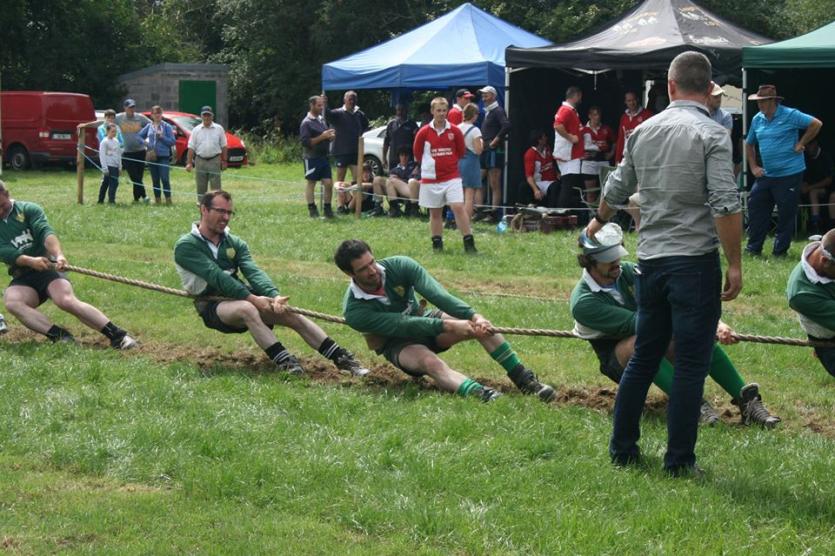 GALLERY: Tullow Show the 'best ever' as rain holds off for agricultural ...