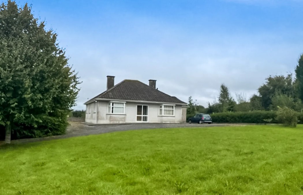 This spacious family home located in Carlow countryside has hit the ...